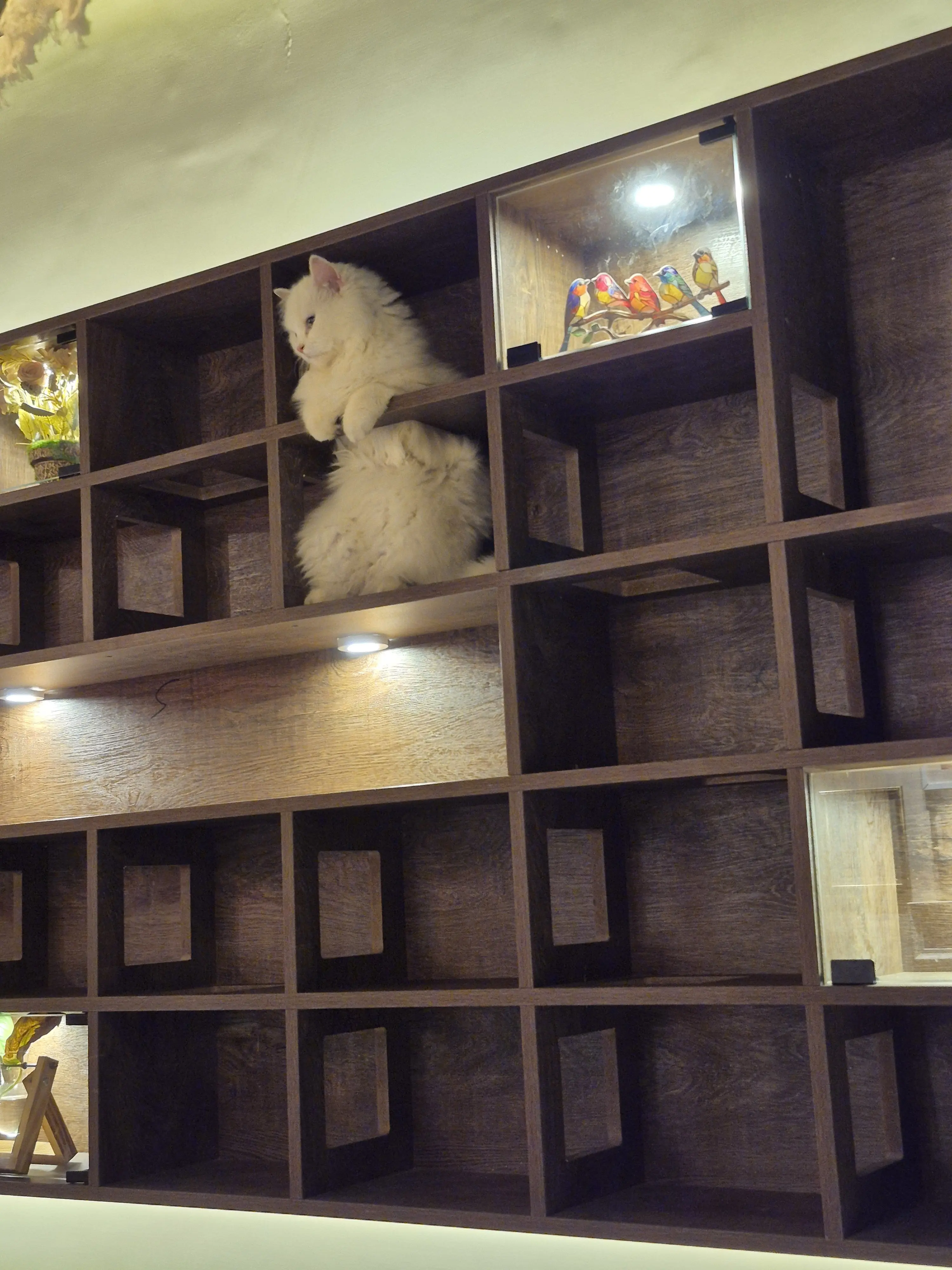 Cafe Felix